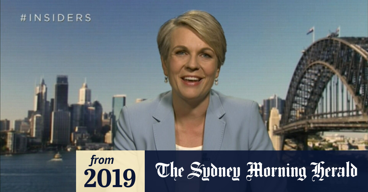 Video Tanya Plibersek Considers Running For Labor Leadership